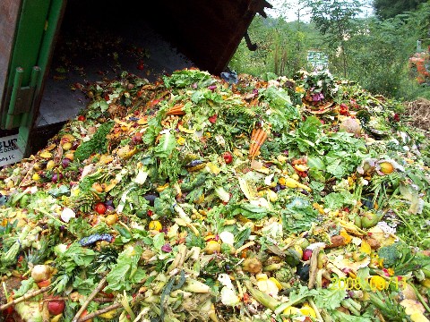 What You Need to Know About Food Waste Management