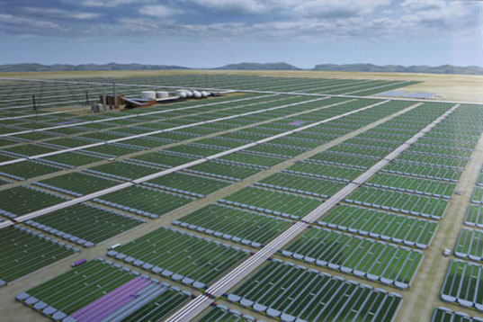 Everything You Should Know About An Algae Biorefinery