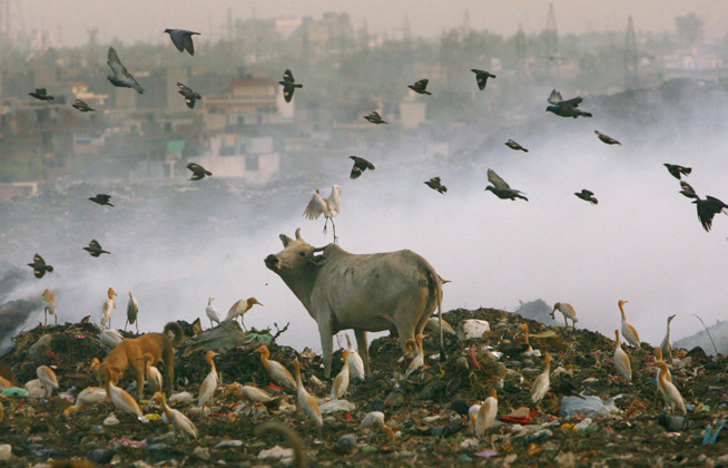 Addressing India's Waste Management Problems