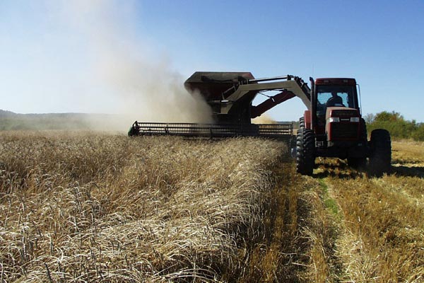 Robust Techniques for Sustainable Agricultural Waste Management