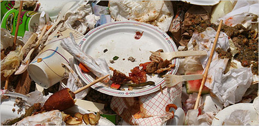 Role of Food Waste Disposers in Food Waste Management