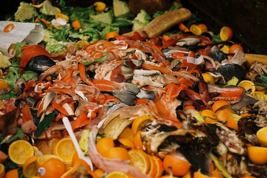 Behavioral Drivers Behind Food Wastes | BioEnergy Consult
