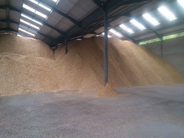 Everything You Should Know About Biomass Storage Methods