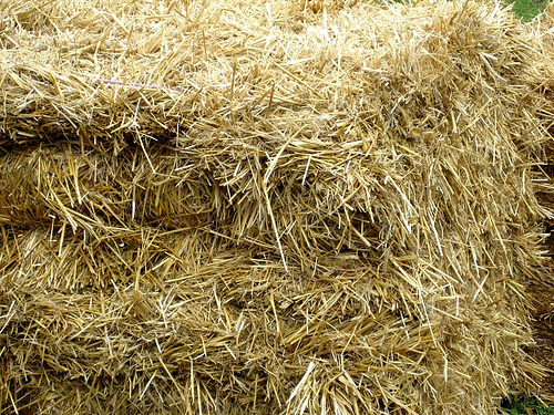 Resource Base for Second-Generation Biofuels