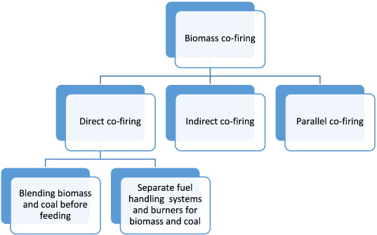 Cofiring of Biomass