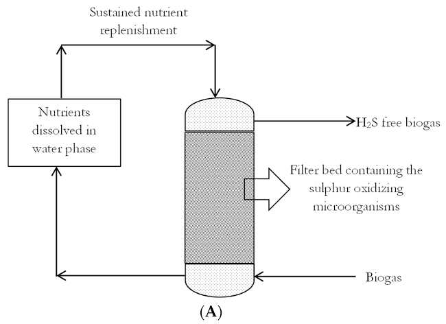 Biological Desulphurization of Biogas | BioEnergy Consult