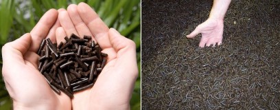Torrified PKS: An Attractive Biomass Commodity in West Africa ...