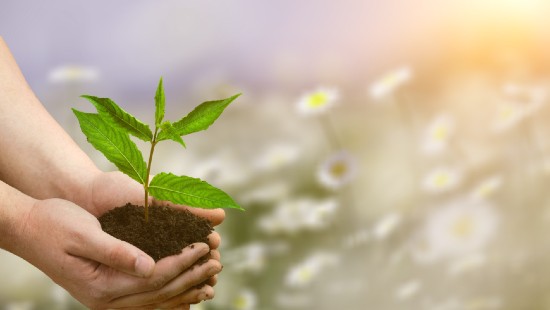 Top 20 Environmental Quotes to Inspire and Motivate You