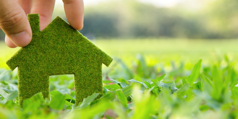 Ways to Go Greener at Home | BioEnergy Consult