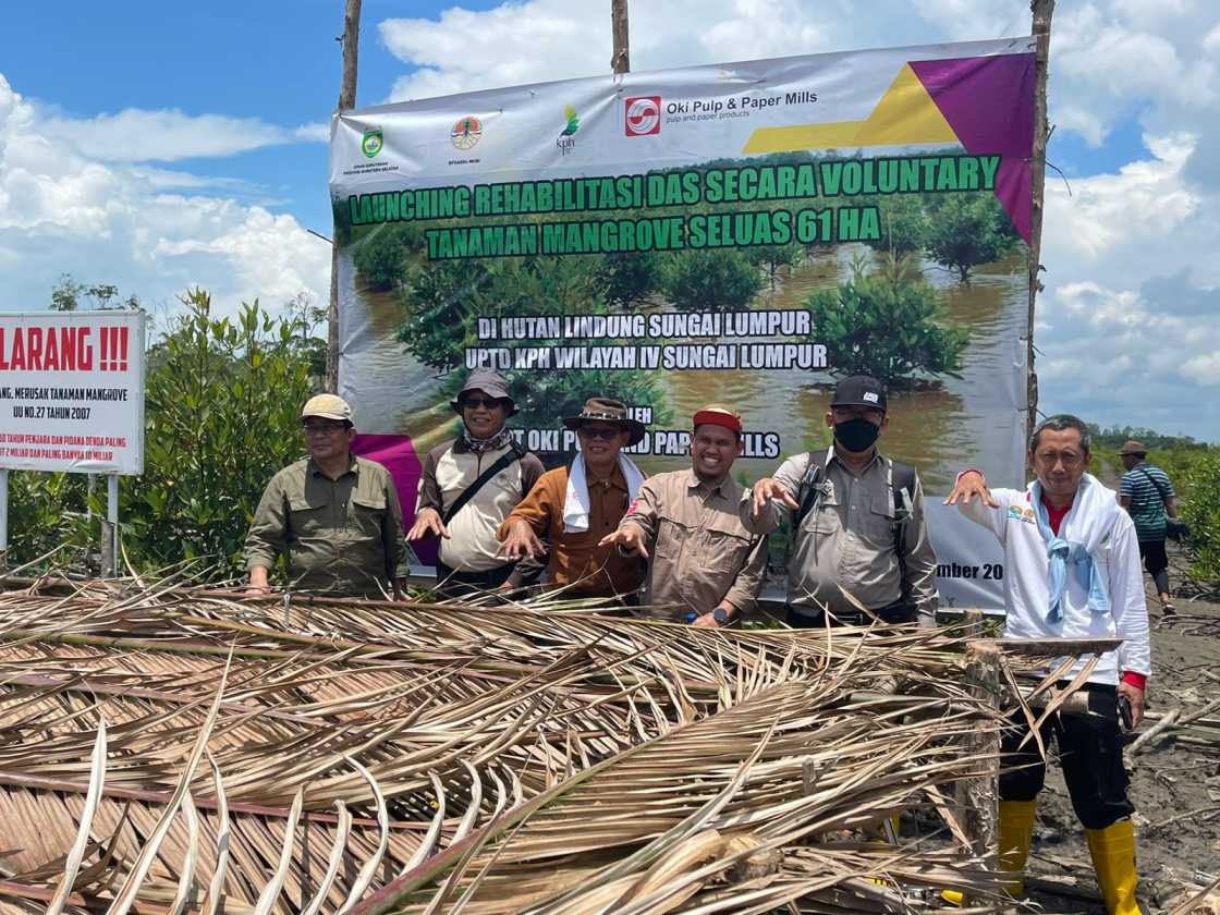 Ways Pulp Paper Industry Can Strengthen Sustainability Goals