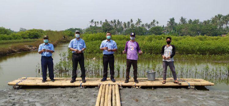 Ways Pulp Paper Industry Can Strengthen Sustainability Goals