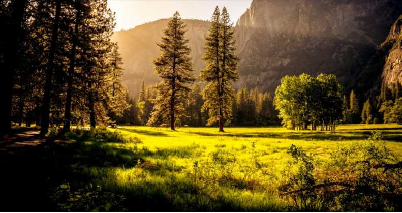 How Nature Supports Mental and Physical Health