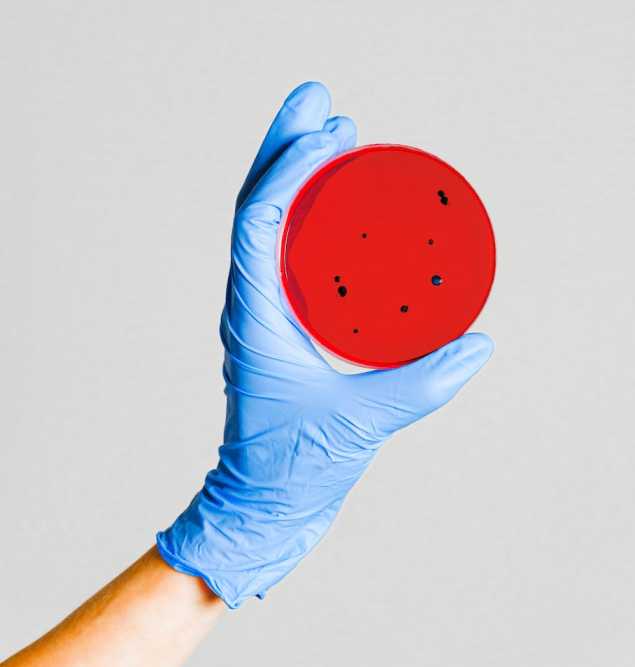 Microplate Washer: Working Principle, Features and Uses